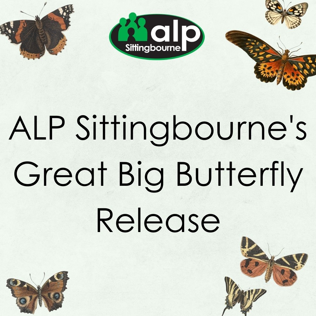 Big Butterfly Release - ALP Sittingbourne