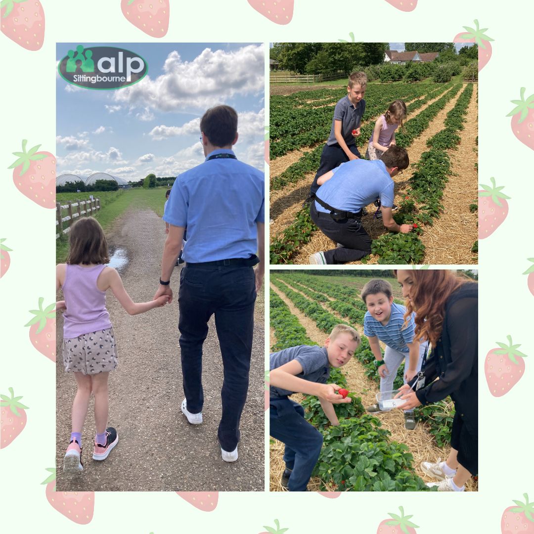 Berry Picking - ALP Sittingbourne