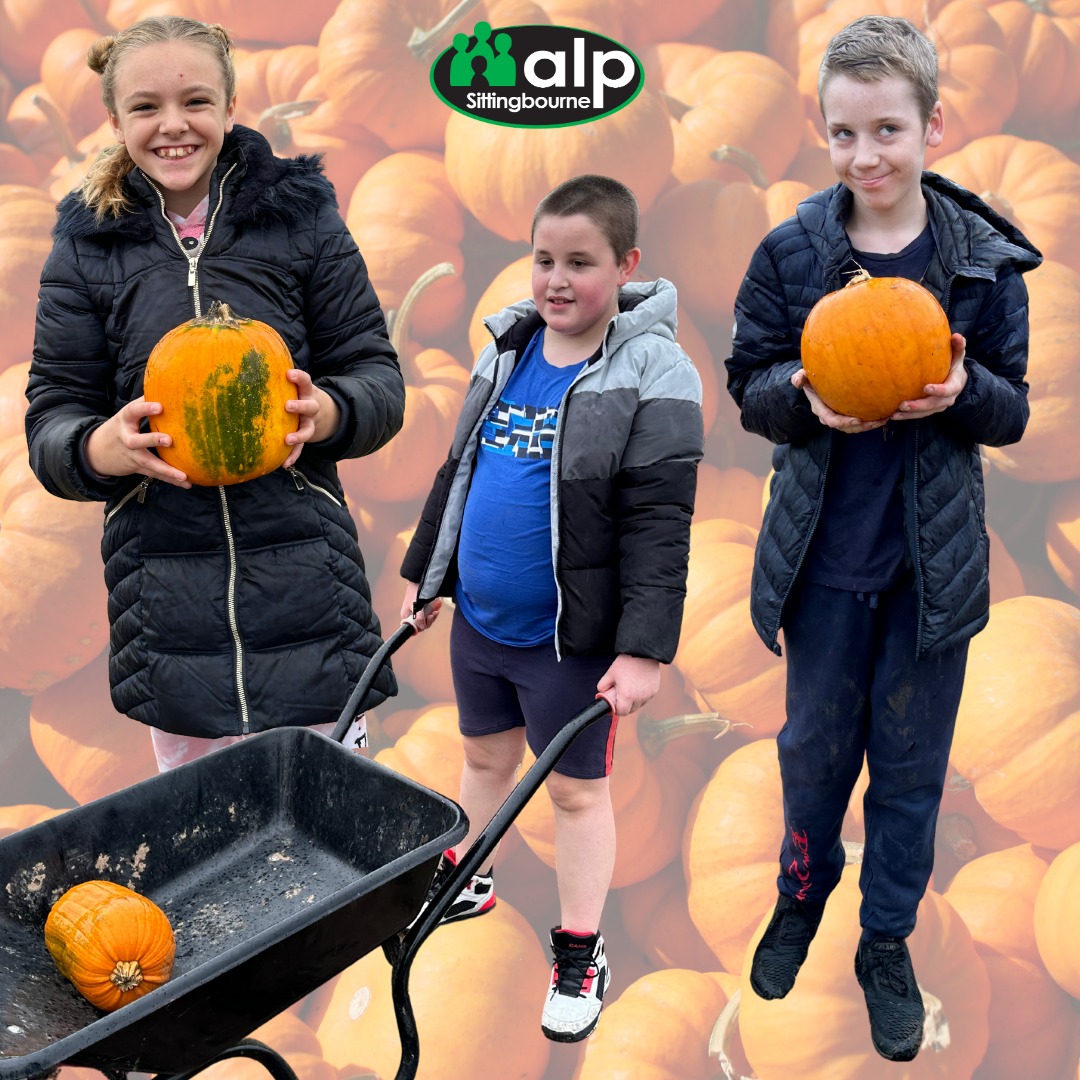 Pumpkin Picking - ALP Sittingbourne