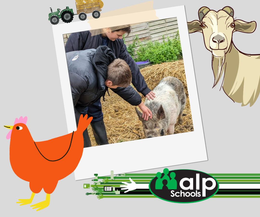 Happy Pants Ranch - ALP Sittingbourne