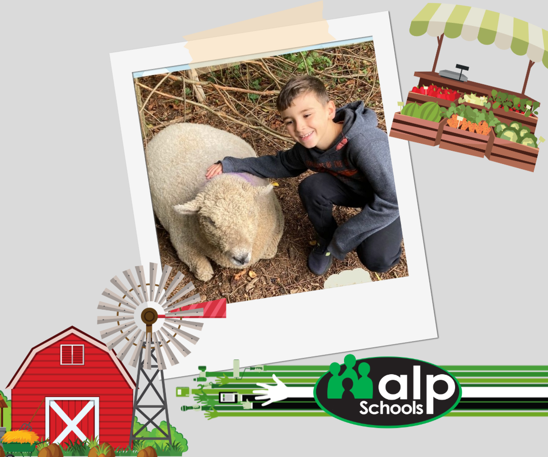 Huckleberry Farm - ALP Sittingbourne